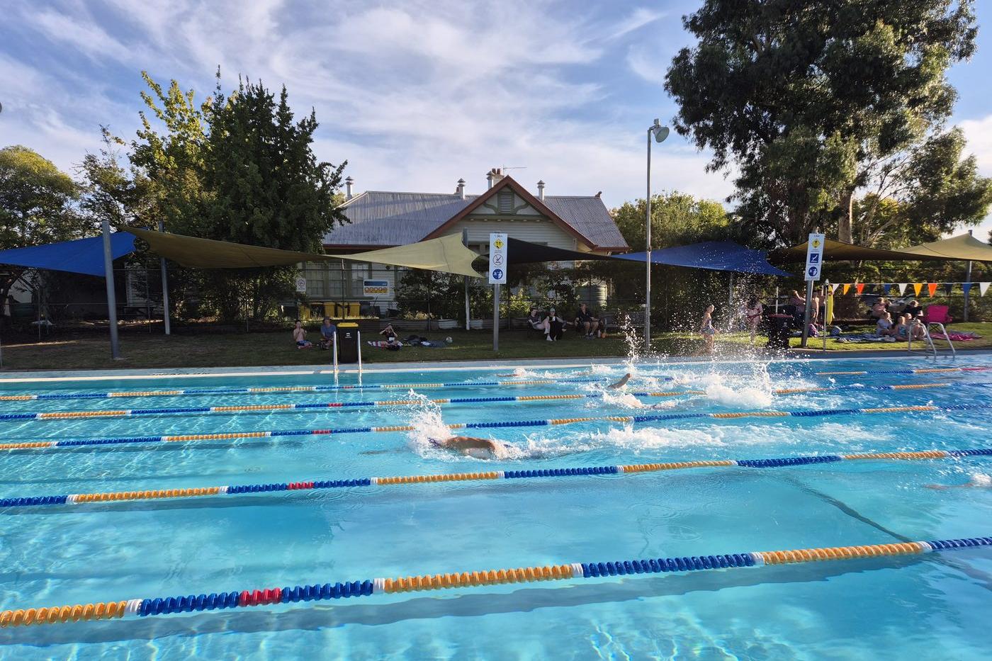 Mansfield swimmers make a splash in pool and open water
