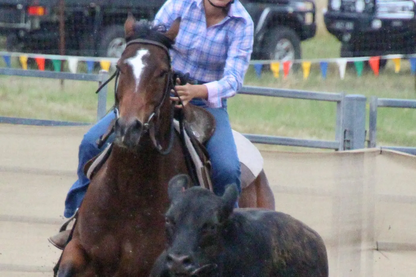Campdraft set for big weekend at Merrijig