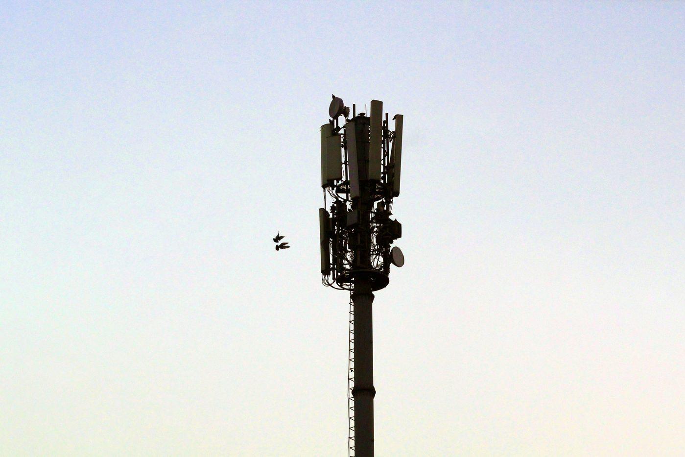 Telstra and Optus announce extension to 3G network closures