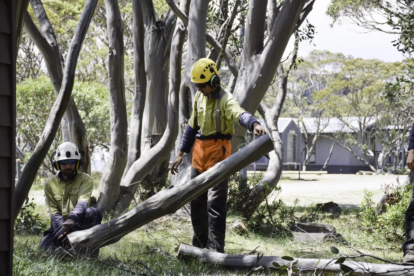Bushfire preparation starts at ARV resorts