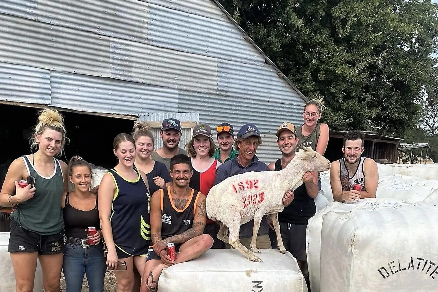 Shear success